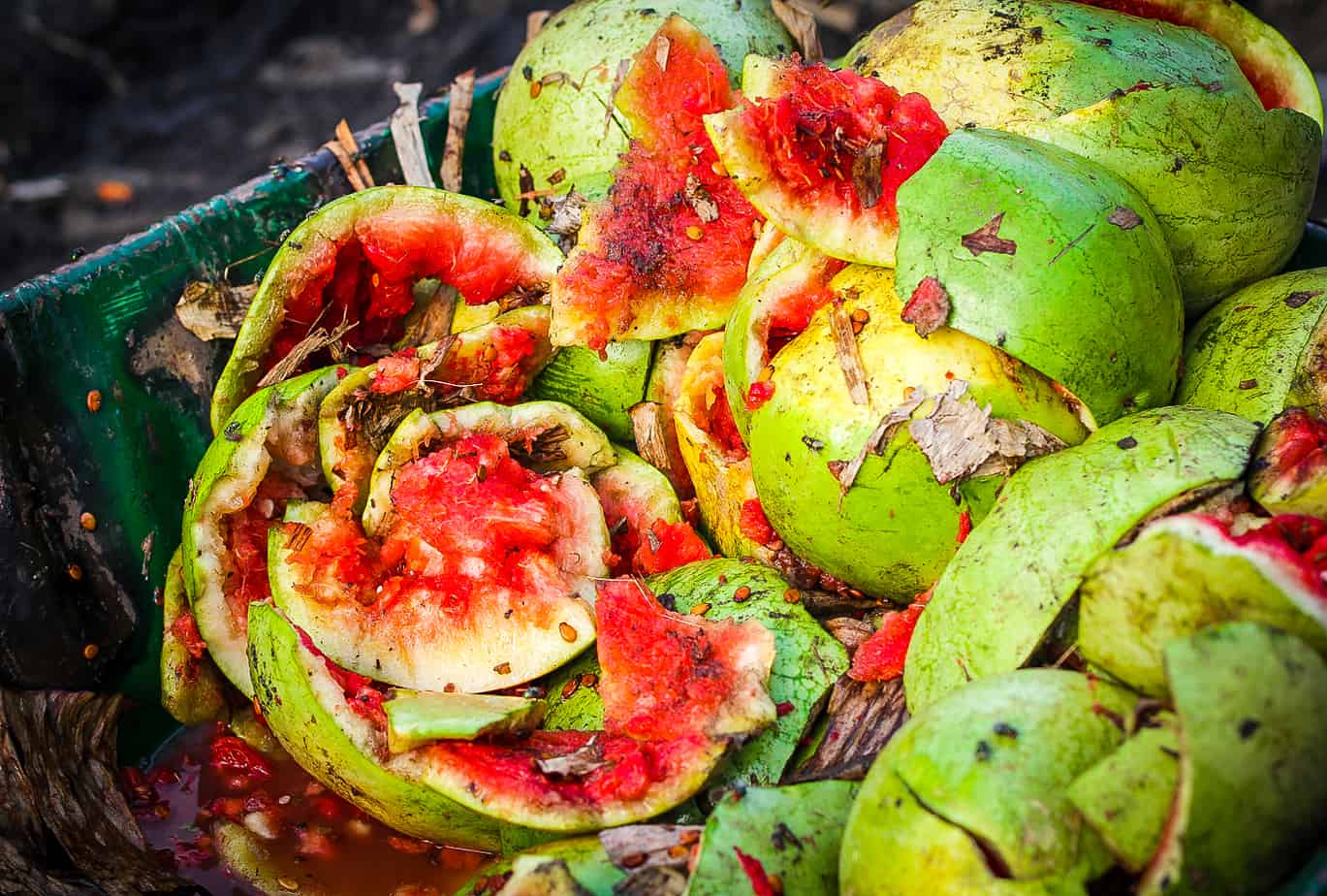 Could power generated by garbage solve Nigeria's energy crisis?