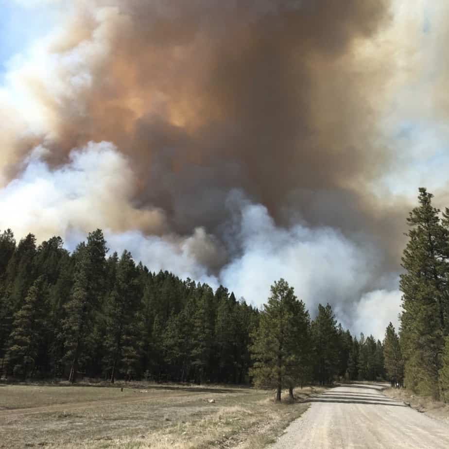 More prescribed burns in Canada could lower risk uncontrolled wildfires