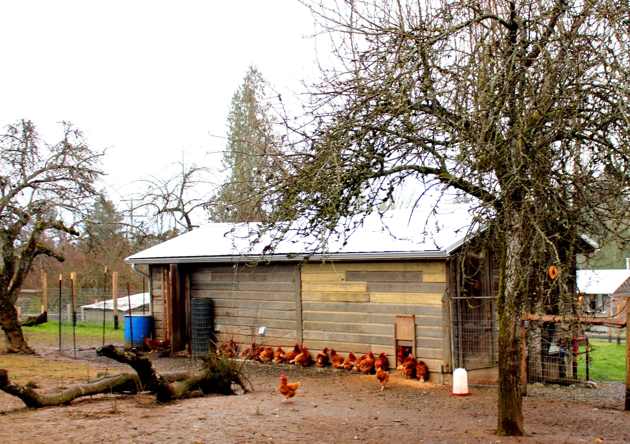 Keating Farm aims for sustainability – The Discourse.