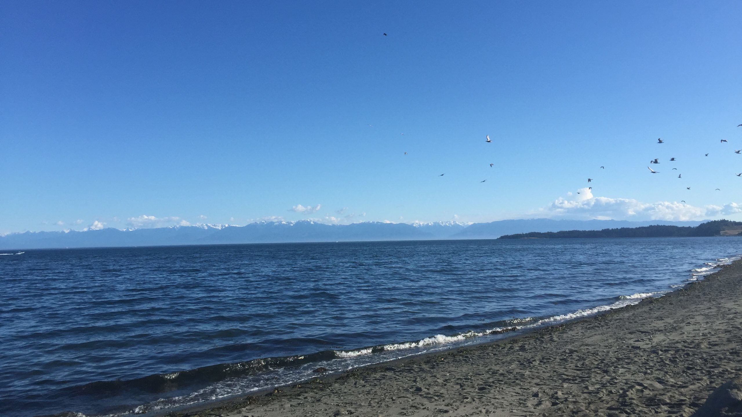 West Shore stories we’ll tell in 2021 – The Discourse.