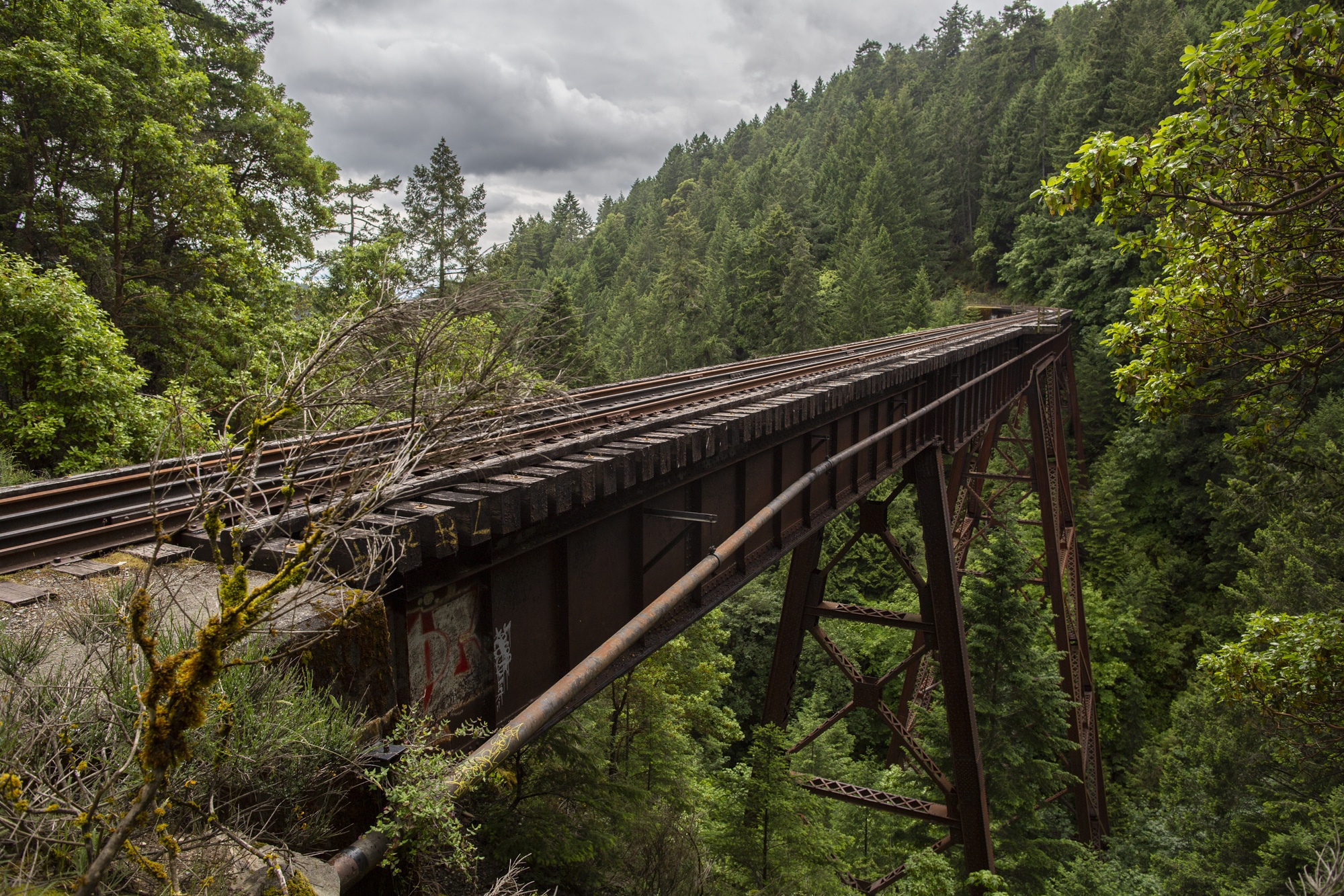 Q&A:A big pitch to revive Vancouver Island passenger rail —The Discourse