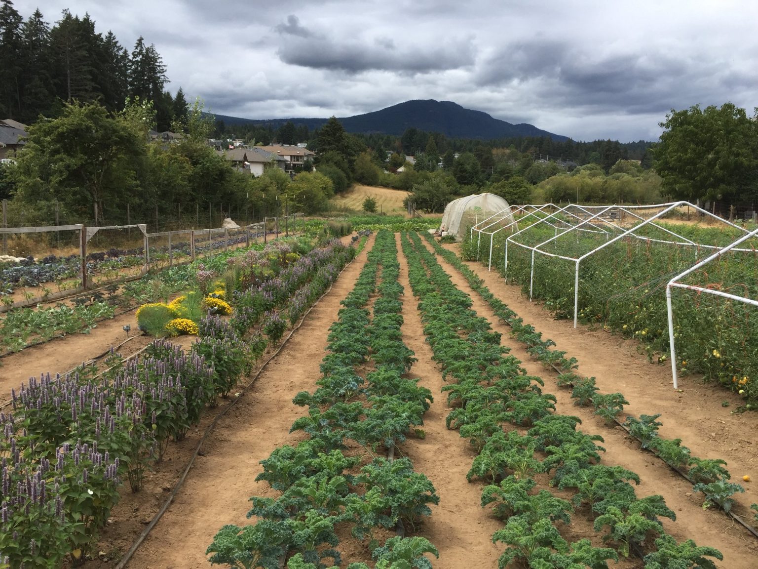 What's next for Nanaimo's Five Acres Farm?