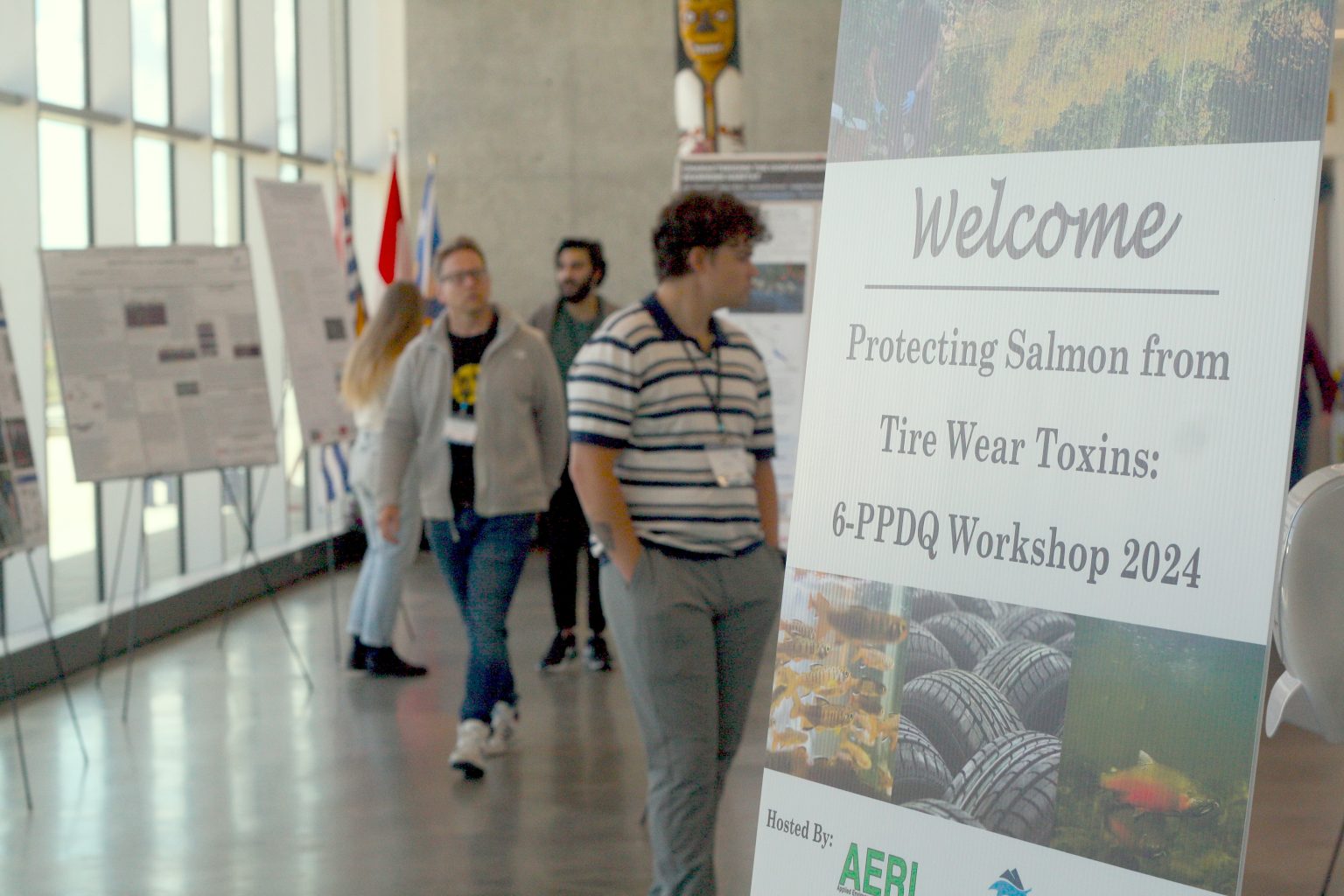 How researchers uncovered the coho killing tire toxin 6PPD-Q