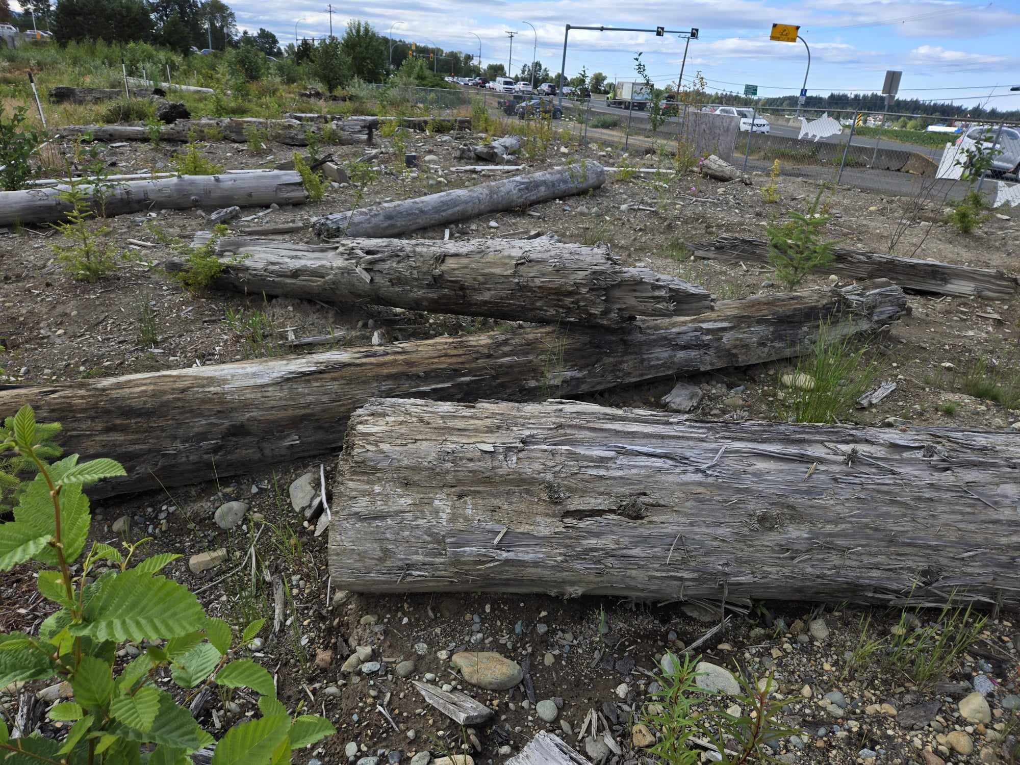 In photos: Kus-kus-sum site restoration – The Discourse.